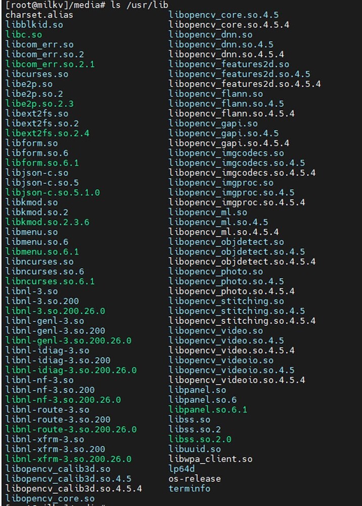 交叉编译OpenCV 4.5.4(包含交叉编译环境配置) - Duo - Milk-V Community